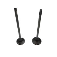 China Auto Parts 1.6T Engine Intake And Exhaust Valves For Peugeot 3008 207CC 308CC 308SW RCZ Citroen C4 C4L DS5 OE 0948E8 0949E2 for sale