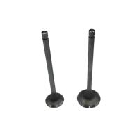 China Auto Parts 16V Engine Intake And Exhaust Valves For Peugeot 2008 206 207 307 308 408 Citroen C2 C3 C4 OE 0948A9 0949C5 for sale