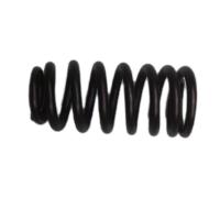 China 1.2T Valve Spring for Peugeot 2008 308 408 and Citroen C3XR C4L - OEM 9807735780 Replacement Part for sale