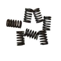 China Auto 16V Valve Spring for Peugeot 206 207 307 308 408 and Citroen C2 C4 Models - OEM 0952A9 095297 1204504 for sale