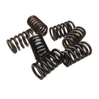 China Auto 16V Valve Spring for Peugeot 206 207 307 308 408 and Citroen C2 C4 Models - OEM 0952A9 095297 1204504 for sale