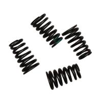 China Auto 2.0 Valve Spring for Peugeot 3008 307 308 408 508 and Citroen C4 C5 Models - OEM 0952A2 ZQ00679180 for sale