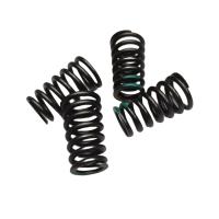 China Auto 2.0 Valve Spring for Peugeot 3008 307 308 408 508 and Citroen C4 C5 Models - OEM 0952A2 ZQ00679180 for sale