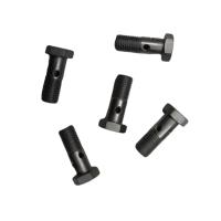China Turbine Lubrication Pipe Joint Bolt OE 037957 9803983080 For Peugeot 3008 308CC 308SW Citroen C4L for sale