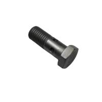 China Turbine Lubrication Pipe Joint Bolt OE 037957 9803983080 For Peugeot 3008 308CC 308SW Citroen C4L for sale