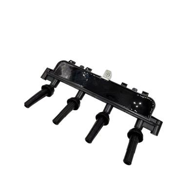 China Ignition Coil for Peugeot 206 207 Citroen C2 597079 597078 596319 for sale