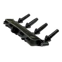 China Ignition Coil 597074 597072 for Peugeot 206 207 Citroen C2 for sale