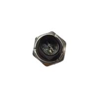 China 038919081H Oil Pressure Sensor for Volkswagen Audi Skoda with 12 Months Warranty and Brand New Condition for sale