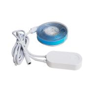 China CE FCC Smart Strip RGB WIFI LED Controller With Voice Control for sale