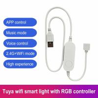 China Smart Wireless Wifi RGB LED Controller Tuya APP Remote Voice Control For Christmas for sale