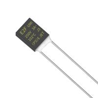 China Uchihashi Tamura U2E U22 U2X U2J Thermal Fuse  2A 2.5A 250V Temperature Fuse for sale