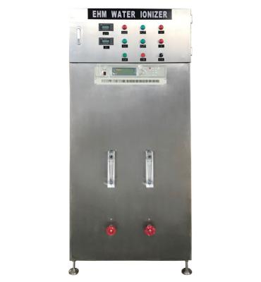 China Industrial Water Ionizer 1000L/h Capacity with 220V Power and Stainless Steel Housing for Commercial Applications for sale