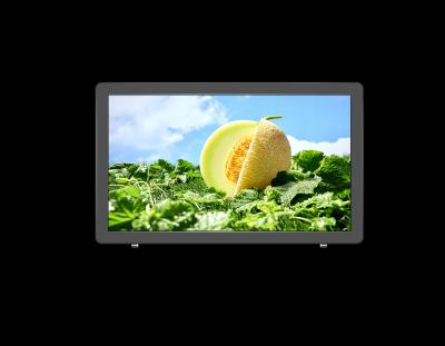China CH 43 Inch 4K IP65 Waterproof Outdoor LCD Digital Signage Display Wall Mount for Elevator Kiosk for sale