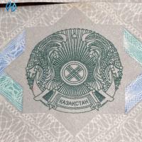 China RoHS Compliant Hot Stamping Label with Customizable Size and Silicone Paper Backing for Premium Adhesive Sticker Printing for sale