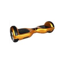 China Gold Mini 2 Wheel Electric Standing Scooter 250W Stand On Scooter With 2 Wheels for sale