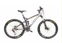 China 250W Power Mountain Electric Bike Sliver Electric Mountain Bike Full Suspension for sale