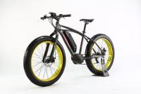 China 48V 10Ah Fat Tire Mountain Electric Bike 350W  Electric Powered Mountain Bike for sale