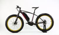 China 48V 10Ah Fat Tire Mountain Electric Bike 350W  Electric Powered Mountain Bike for sale