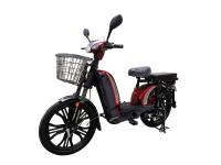 China 50km High Carbon Steel Adult Electric Bike High Performance E-Bike For Outdoor Activities for sale