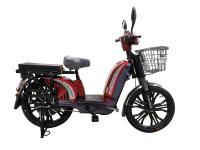 China 50km High Carbon Steel Adult Electric Bike High Performance E-Bike For Outdoor Activities for sale