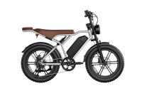 China R002 A High-Performance Fat Tire Electric Bike with 750W Motor and 48V Battery for Your Business Needs for sale