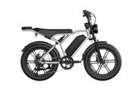 China R002 A High-Performance Fat Tire Electric Bike with 750W Motor and 48V Battery for Your Business Needs for sale