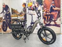 China 20” Fat Tire Long Tail Cargo E-bike for sale