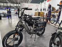 China 20” Fat Tire Long Tail Cargo E-bike for sale
