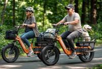 China 20” Fat Tire Long Tail Cargo E-bike for sale