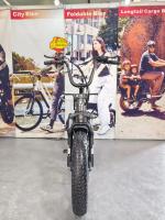 China 20” Fat Tire Long Tail Cargo E-bike for sale