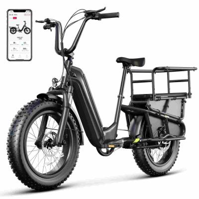 China 20” Fat Tire Long Tail Cargo E-bike for sale