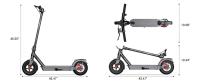 China B20 10''*2.5 630W Folding Electric Scooter with LCD and Front & Rear Shock Absorberr 36v  Foldable Bike Supply Lithium Battery for sale