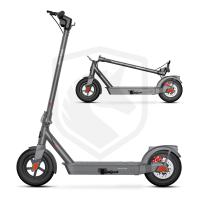 China B19 10''*2.5 630W Mini Electric Folding Scooter with LCD Rear Shock Absorberr 36v Foldable Bike Featuring Lithium Battery Supply for sale