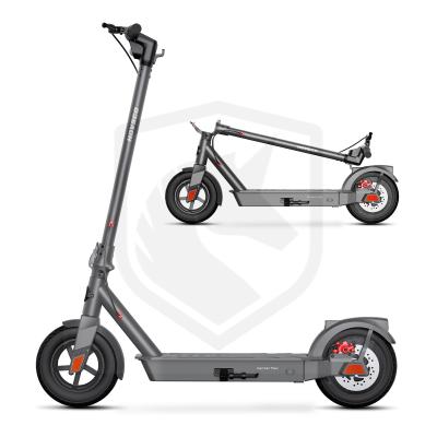 China B19 10''*2.5 630W Mini Electric Folding Scooter with LCD Rear Shock Absorberr 36v Foldable Bike Featuring Lithium Battery Supply for sale
