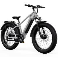 China 26Inch E-Bikes Suspension Fork Removable Battery Professional 7 Speed Gears Electric Bicycle Fat Bike for sale
