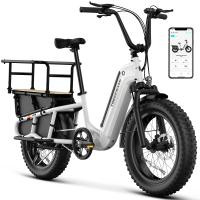 China 7 Speed Electric Cargo Bike with 250W 48V  Mountain Ebike Motor Fat Tire Battery Disc Brake System for sale