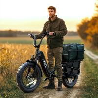 China 7 Speed Electric Cargo Bike with 250W 48V  Mountain Ebike Motor Fat Tire Battery Disc Brake System for sale
