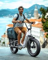 China 7 Speed Electric Cargo Bike with 250W 48V  Mountain Ebike Motor Fat Tire Battery Disc Brake System for sale