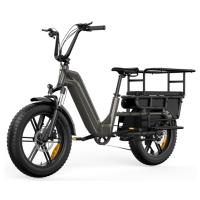 China Utility Fat Tire Electric Cargo Bike with Rear Rack Long Range Ebike for Delivery and Family Use 250W for sale