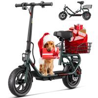 China SISIGAD Adults Electric Scooter 12