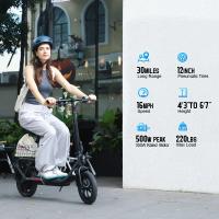China SISIGAD Adults Electric Scooter 12