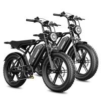 China EU Stock 20 Inch Fat Tire E Bike 48V 15AH Electric Bike Vintage Off-Road E-Bike Hydraulic Disc Brakes E Bike for sale