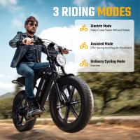 China EU Stock 20 Inch Fat Tire E Bike 48V 15AH Electric Bike Vintage Off-Road E-Bike Hydraulic Disc Brakes E Bike for sale