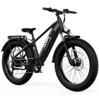 China TST Defender 26 Inch Road Bike Fatbike Mountain Electric Bike Electric Cycles for Men 1200W Rear Hub Motor Electric Hybrid Bike for sale