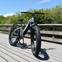 China TST Defender 26 Inch Road Bike Fatbike Mountain Electric Bike Electric Cycles for Men 1200W Rear Hub Motor Electric Hybrid Bike for sale