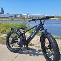 China 26 Inch Fat Tire City Off-Road Commuter Multi-Purpose E-Bike 48V for Adults Electric Bike   Women for sale