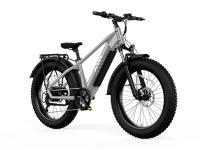 China 26 Inch Fat Tire City Off-Road Commuter Multi-Purpose E-Bike 48V for Adults Electric Bike   Women for sale