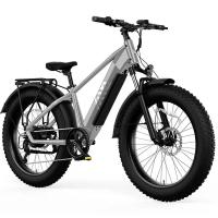 China 48V 26 Inch Fat Tire Electric Bike Powerful Motor Off-Road & City Commuter E-Bike Long Range Lithium Battery Pedal Assist for sale