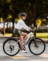 China C622 500W Electric City Bike 48V Lithium Electric Mountain Bike with Lithium Battery Carbon Steel Frame 7-Speed Brushless Motor for sale