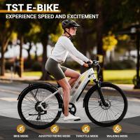 China TST C624 Adult Electric Mountain Bike Rear Hub Motor Steel Frame Disc Brake Brushless Motor 10.4Ah Lithium Battery for sale